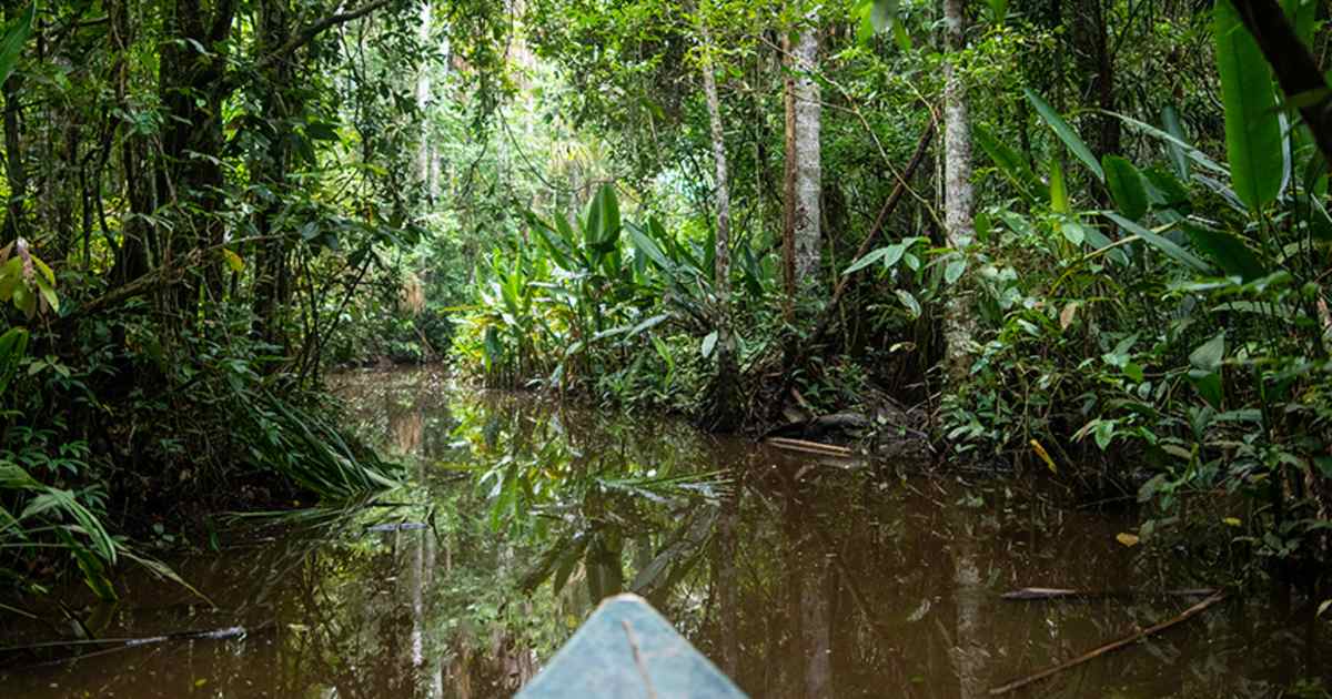 National Geographic Society Launches Groundbreaking Multi-year ...
