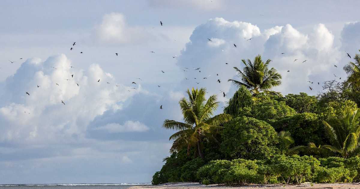 Scientists Launch Ocean Expedition in Tuvalu to Study and Safeguard ...