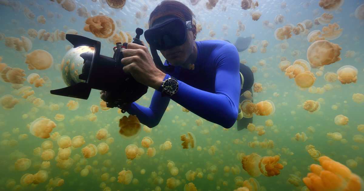 National Geographic Explorer and Ocean Conservation Leader Enric Sala ...