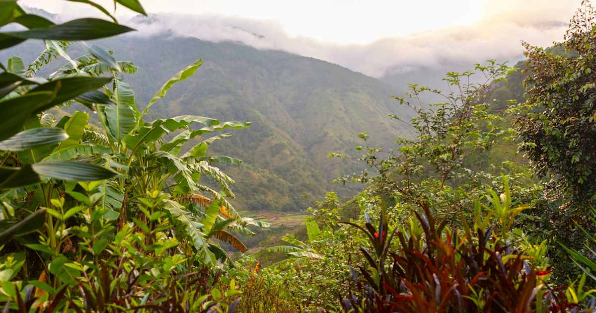 Safeguarding Kabayan ‘fire mummies’ and an Indigenous Filipino culture