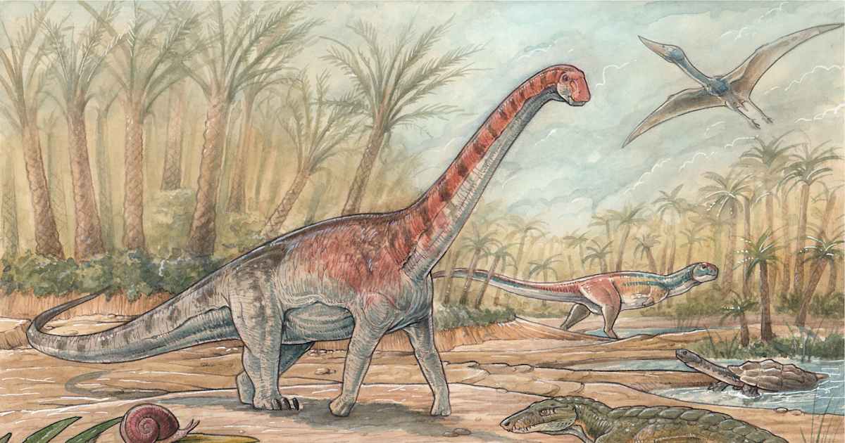 New “gentle giant” dinosaur uncovered in Patagonia alongside rare ...