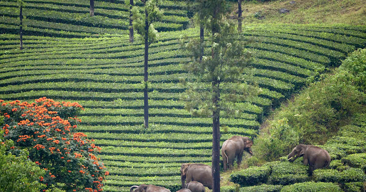 Introducing the Newest Cohort of National Geographic Explorers ...