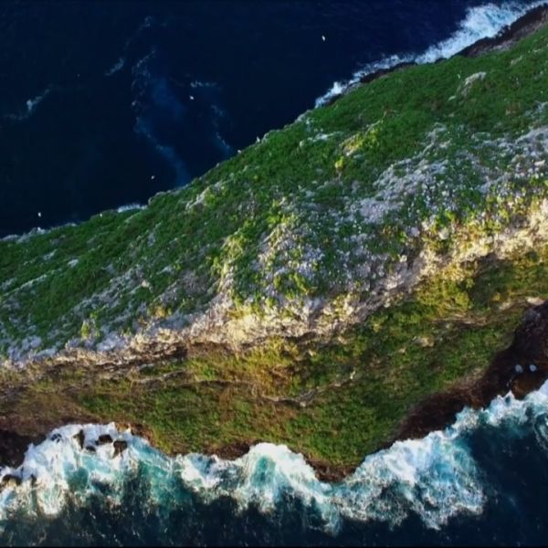 Galápagos: A Virtual Reality Exploration