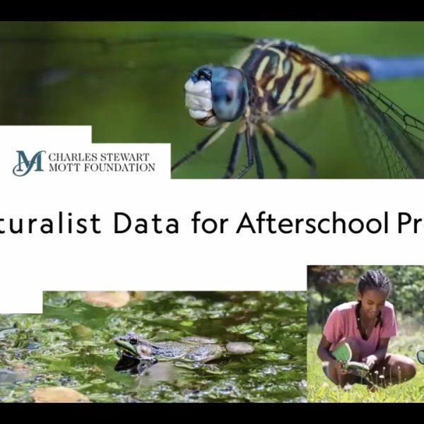 iNaturalist Webinar and BioBlitz Bingo