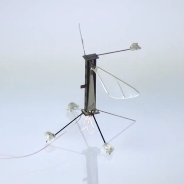 Flight of the RoboBees