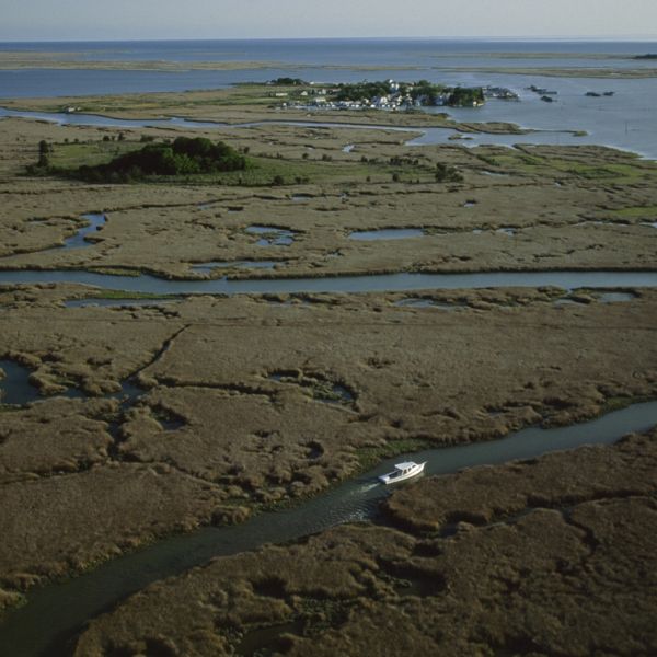Sea Rise and Storms on the Chesapeake Bay