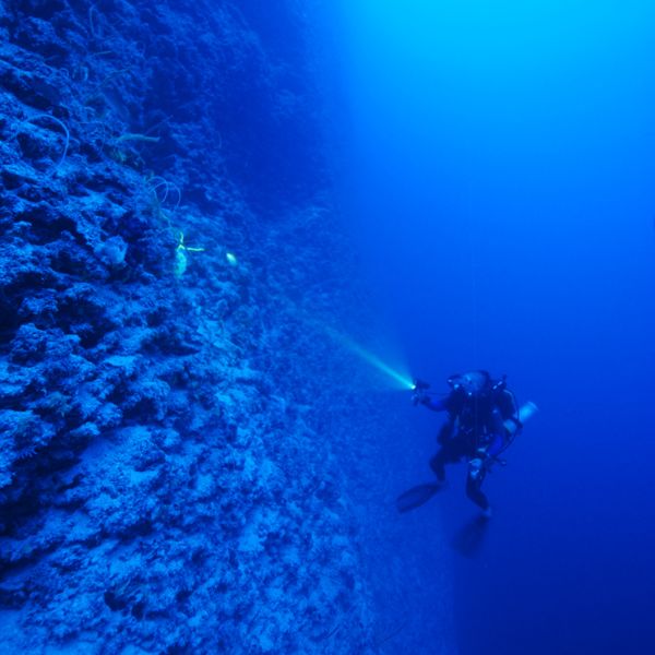Ocean Explorer Michael Lombardi