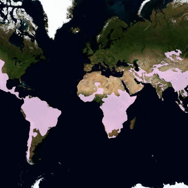 Species Range