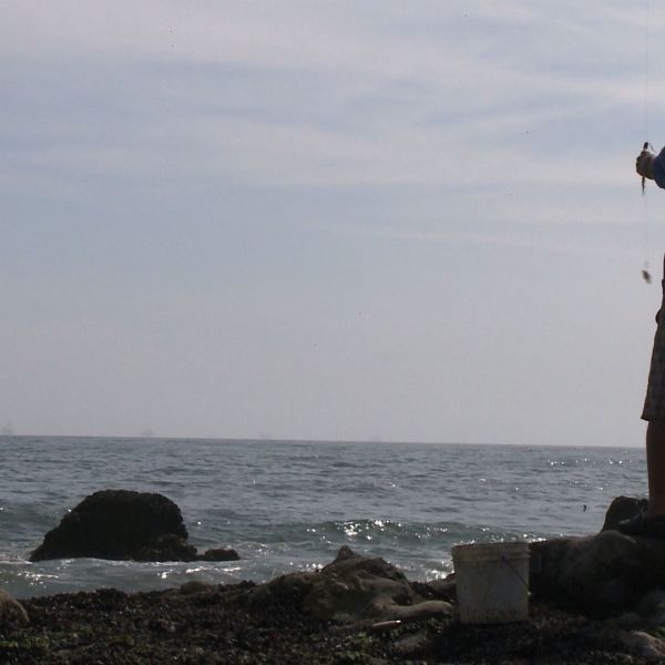 How We Fish Our Ocean