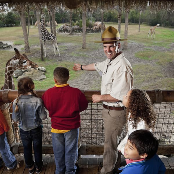 Using a Grid with a Zoo Map