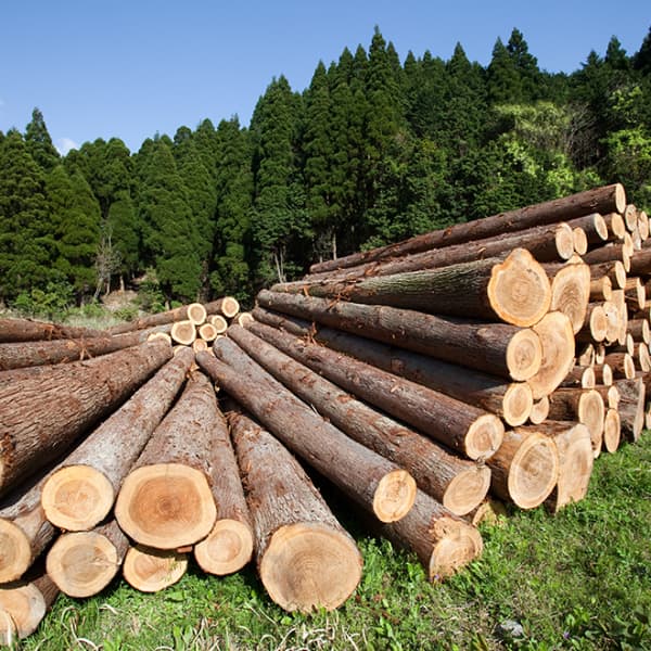 Reading a Resource Map