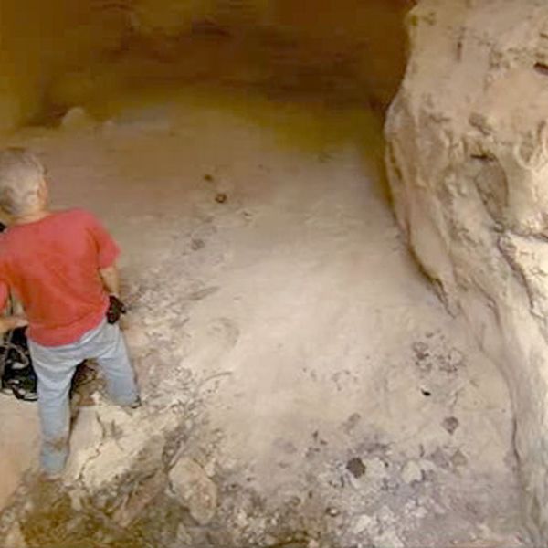 Technology, Rainwater, and Survival of the Maya