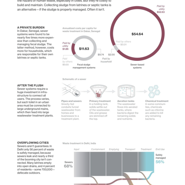 The High Price of Modern Hygiene