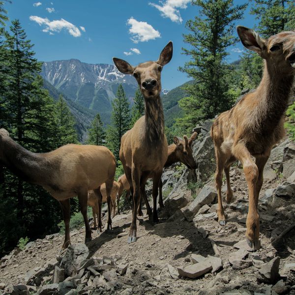 Landforms and Landscapes