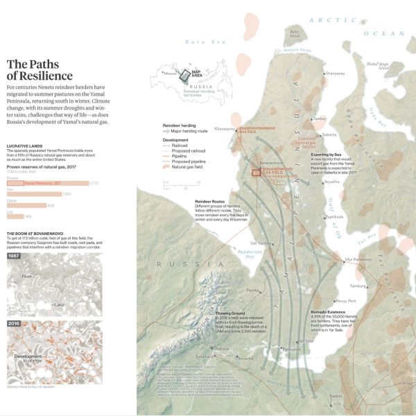 The Paths of Resilience