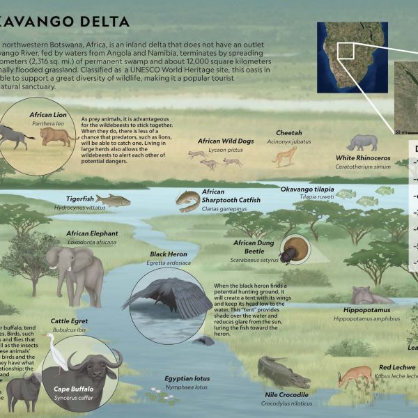 The Okavango Delta