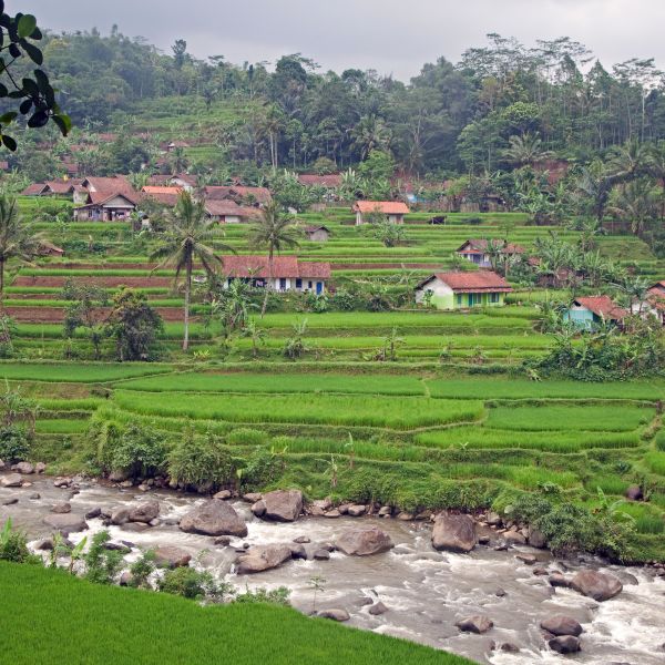 Putting the "Me" in Biome