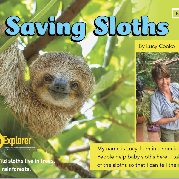 Saving Sloths