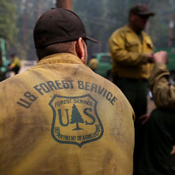 U.S. Forest Service