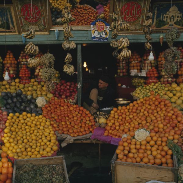 Food Safety and Security