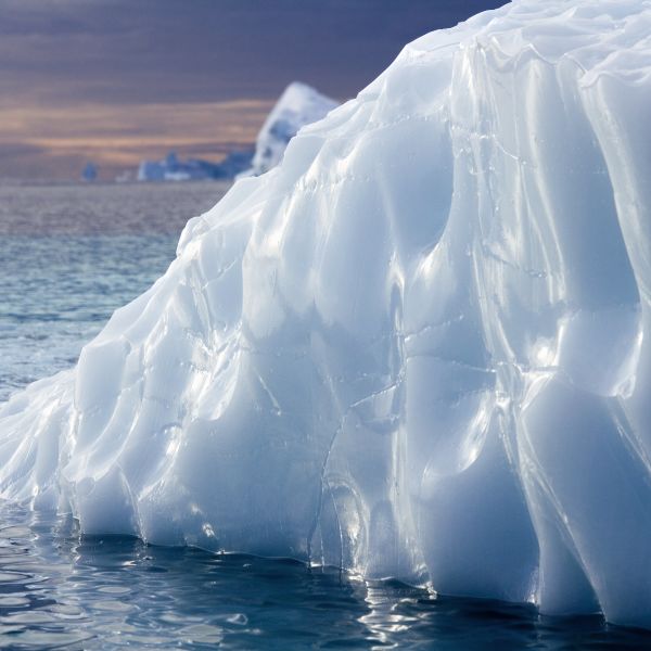 Unbalanced: How Climate Change Is Shifting Earth’s Ecosystems