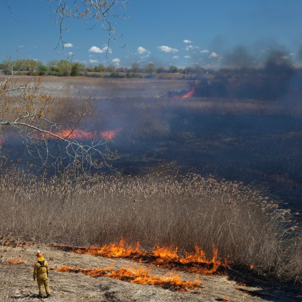 Land Management Declined as Native Americans were Displaced