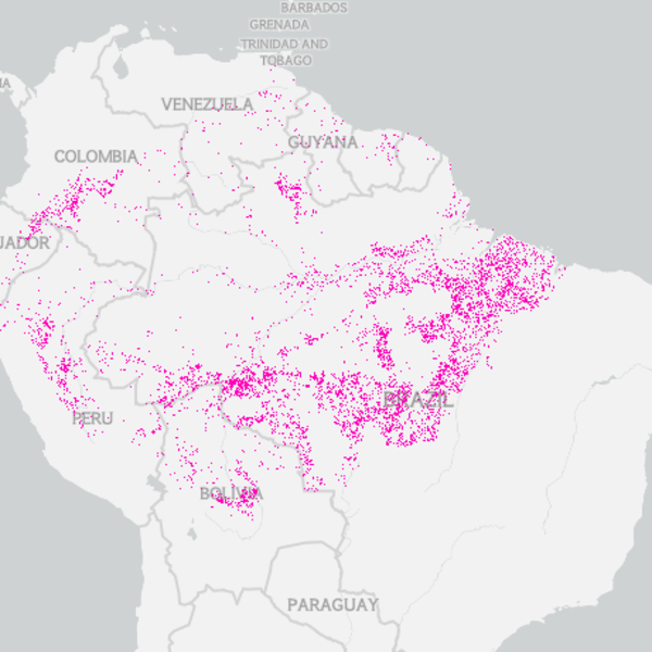Amazon Rainforest Deforestation Map