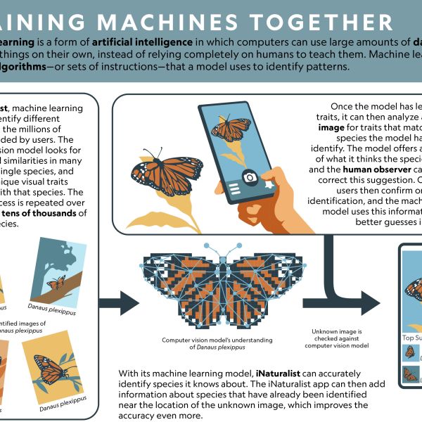 Training Machines Together