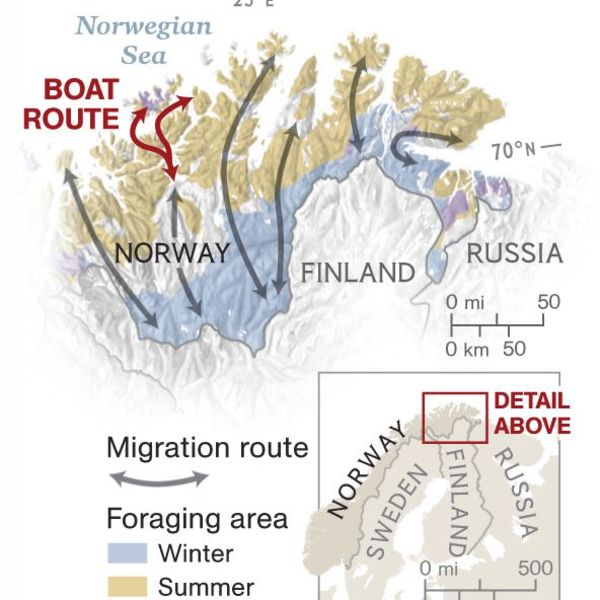 Migration Routes