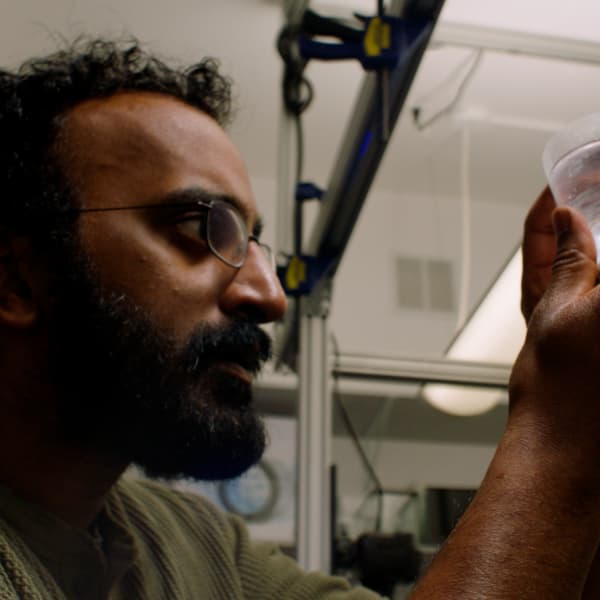 How I Wonder ... Through Different Viewpoints