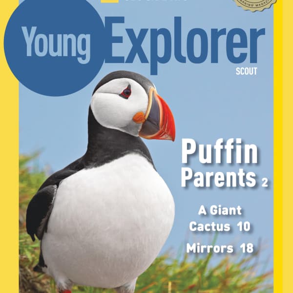 Explorer Magazine March 2019