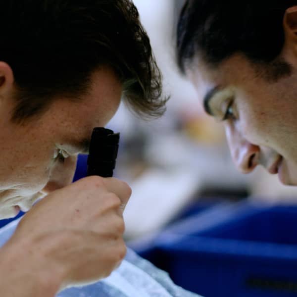 How to Set Up a "WonderLab": Learn by Doing