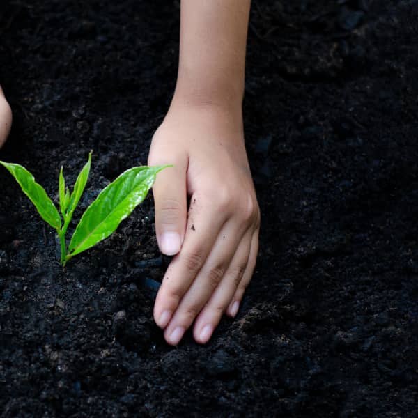 Ideas for Action: Conservation Starts with You!