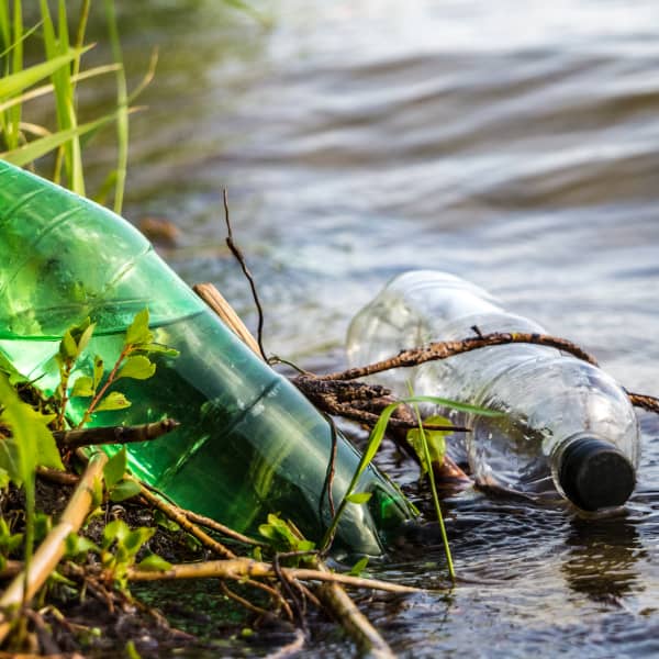 Diving Into Data Analysis