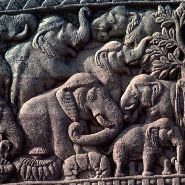 Ancient Civilizations: India