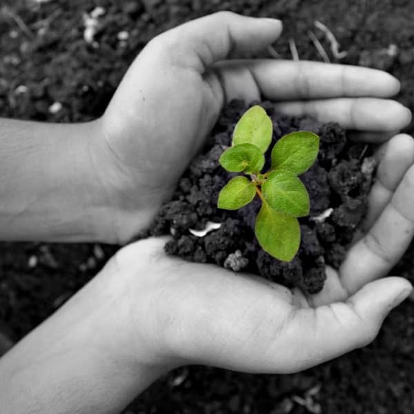 Introduction to Earth Day