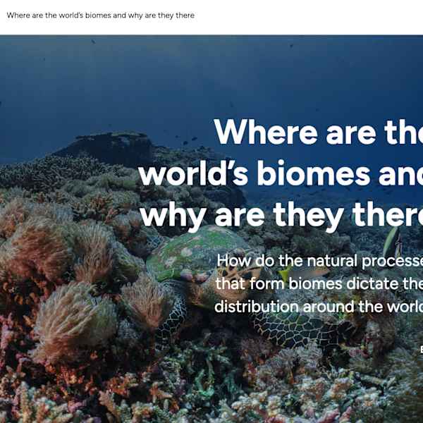 Where Are the World's Biomes and Why Are They There