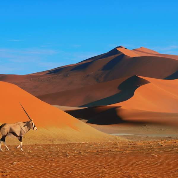 Climate Regions Uncovered