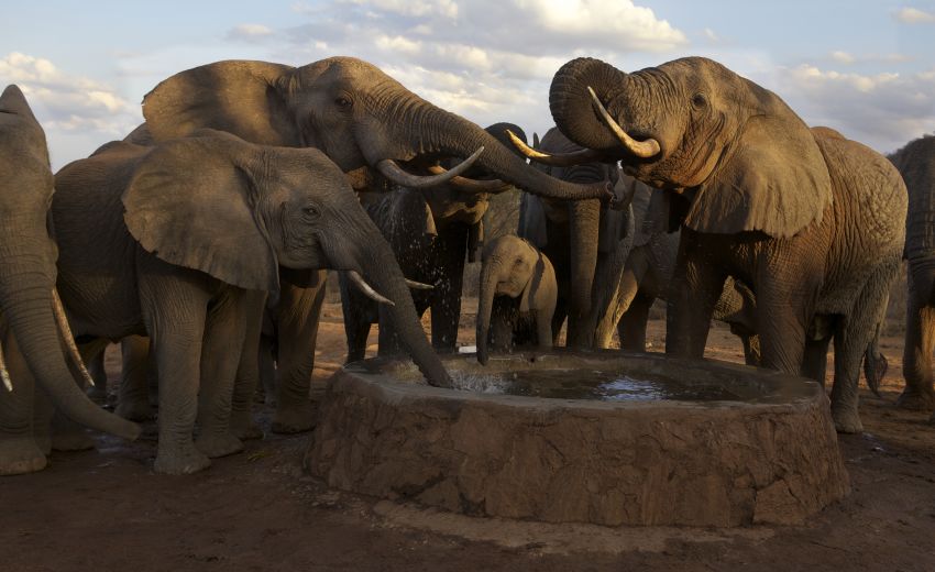 Education | National Geographic Society