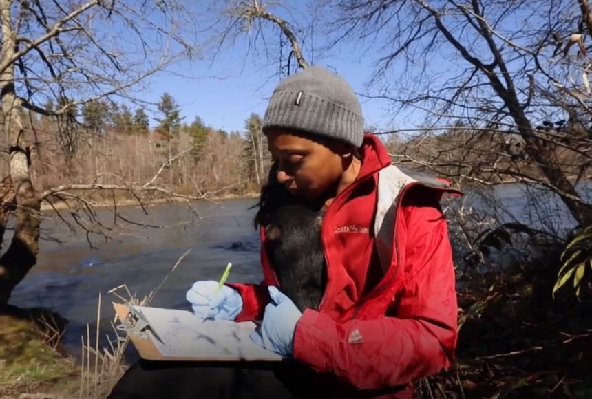 Human Impacts on the Environment