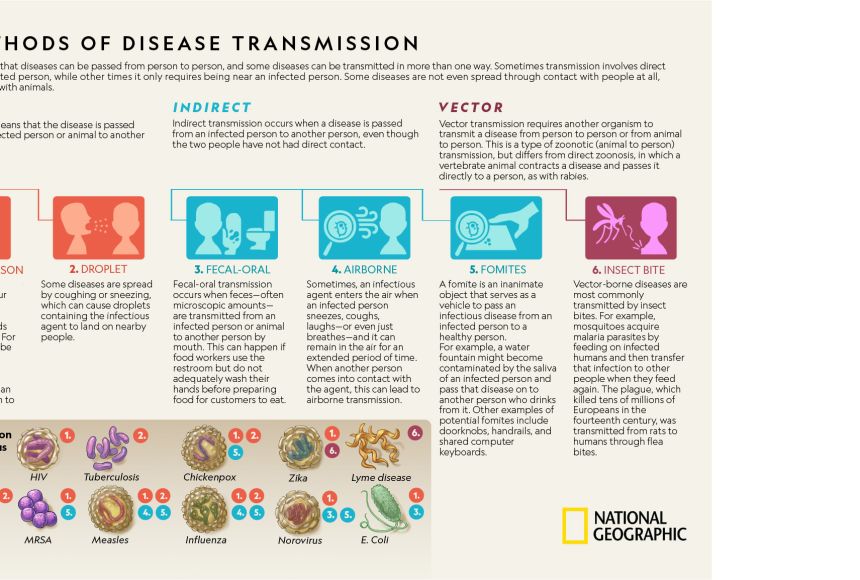 Emerging Infectious Diseases In Center For Emerging 55 Off