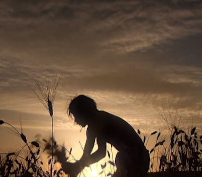 Hunter-Gatherer Culture