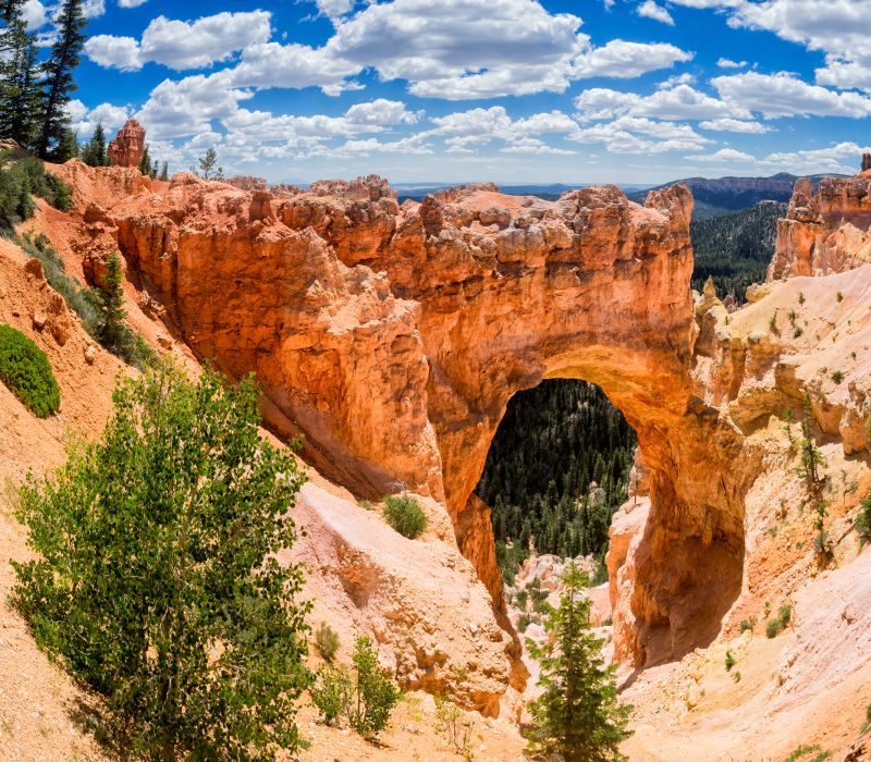 Australia and Oceania: Physical Geography