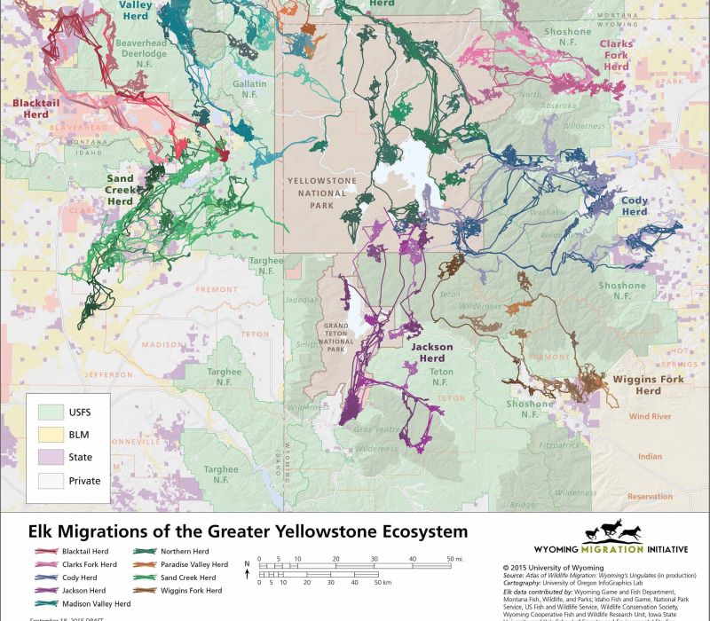 Montana Elk Migration Maps