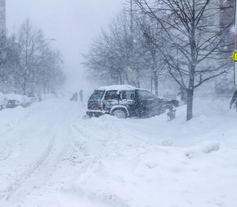 Unbalanced: How Climate Change Is Shifting Earth’s Ecosystems