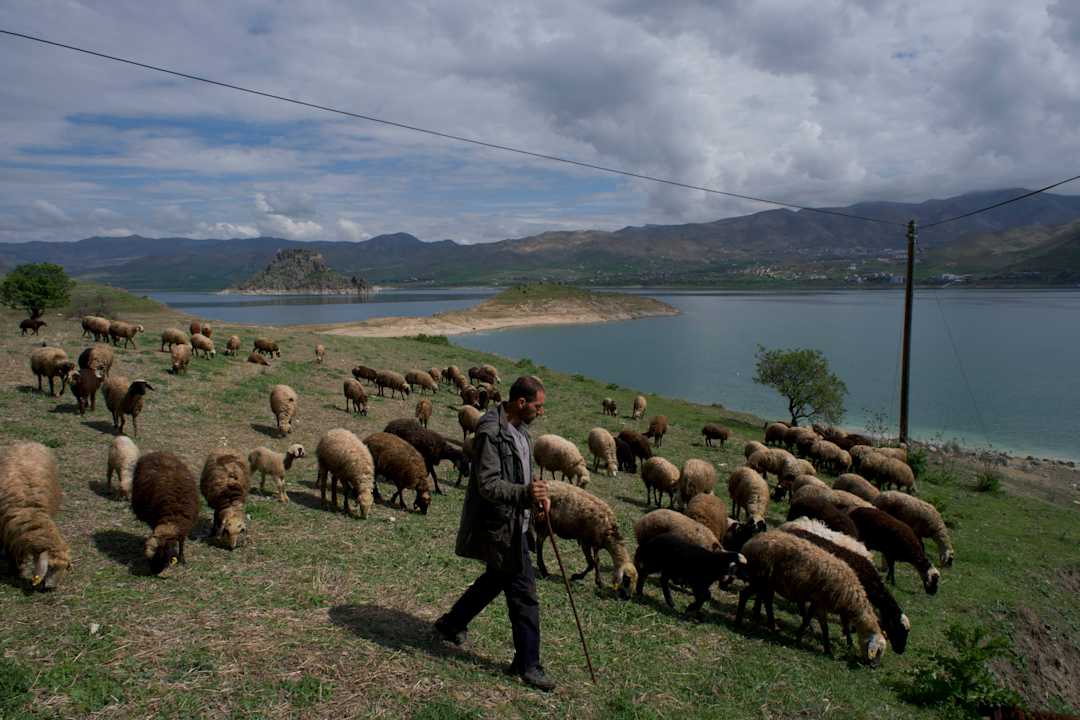 A Kurdish Photographer Records the Brutal Transformation of the Rivers ...