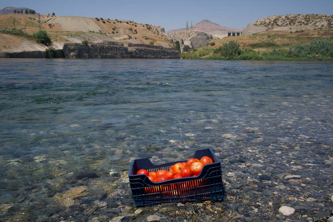 A Kurdish Photographer Records the Brutal Transformation of the Rivers ...