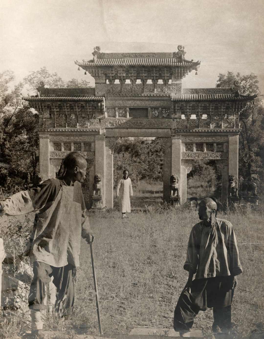 qing dynasty article