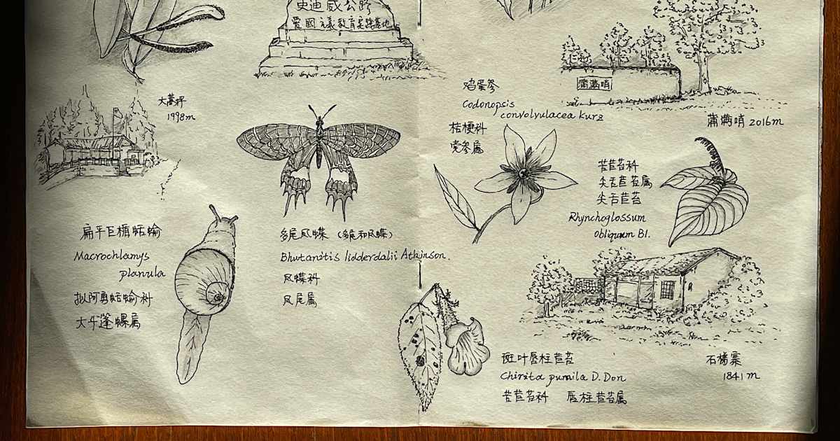 Finding Balance on Foot in a Chaotic but Beautiful World