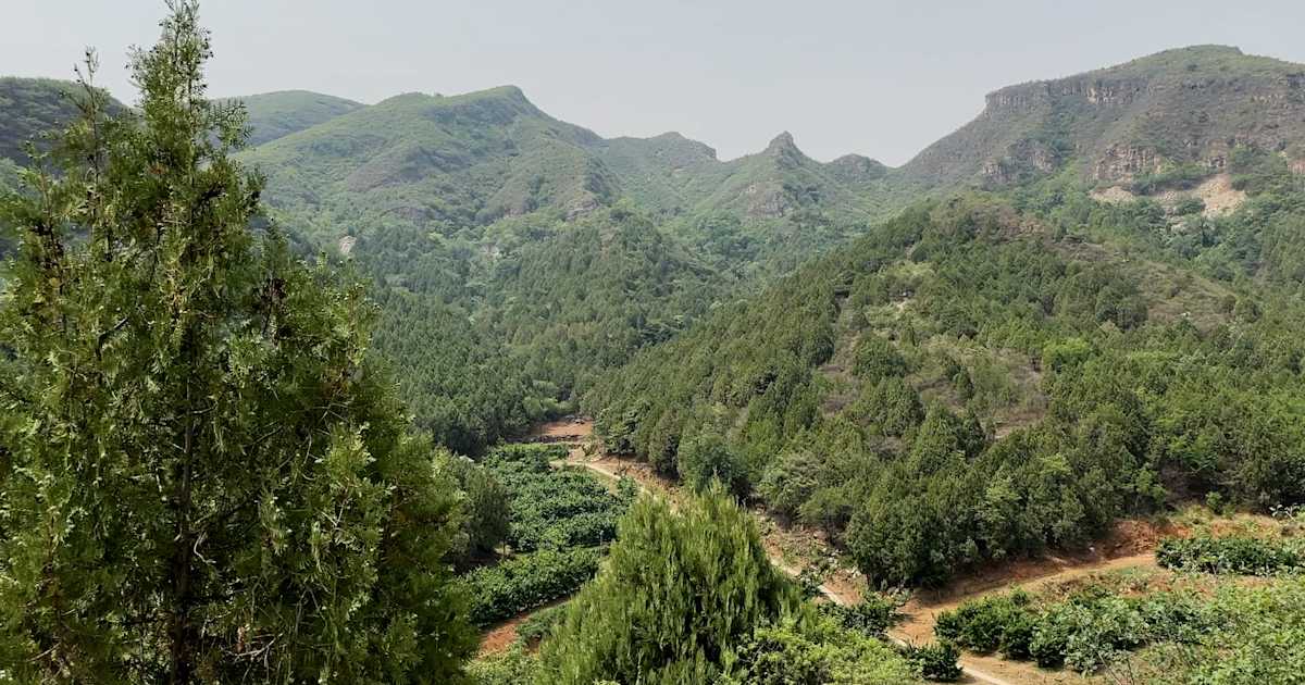 Milestone 89: A Very Long Time Walking